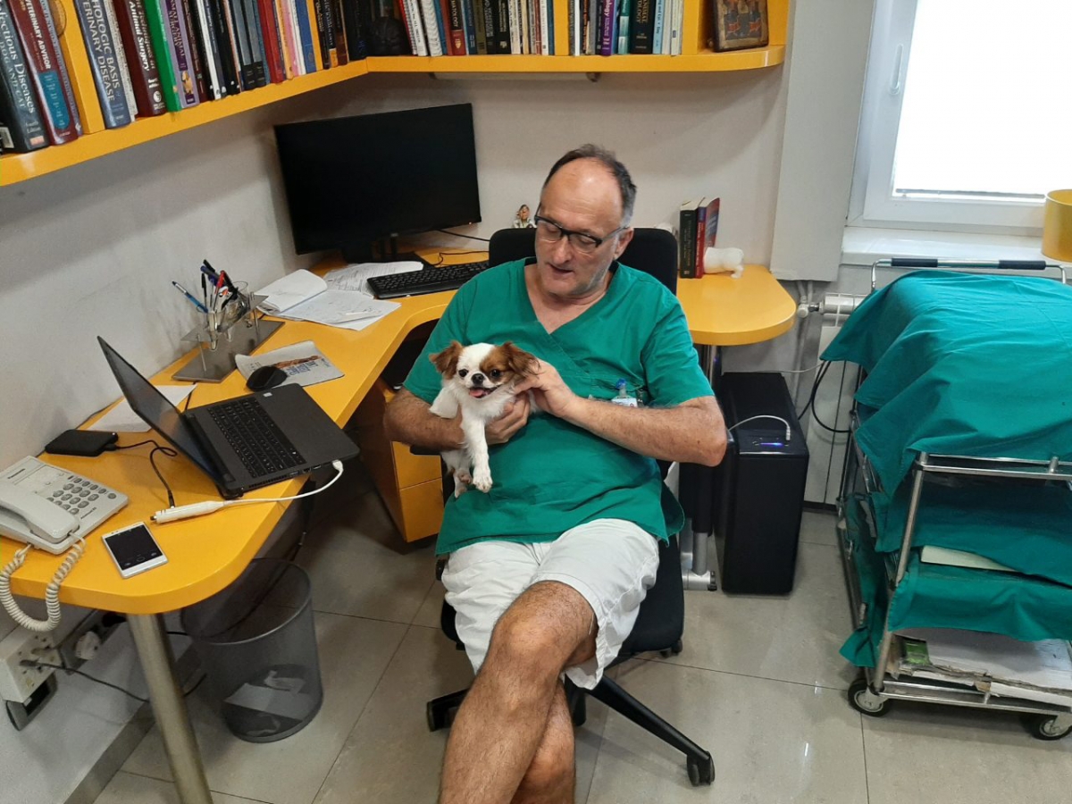 Lola - epi napad - VET24 | DEŽURNI VETERINAR