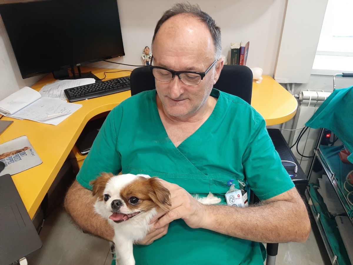 Lola - epi napad - VET24 | DEŽURNI VETERINAR
