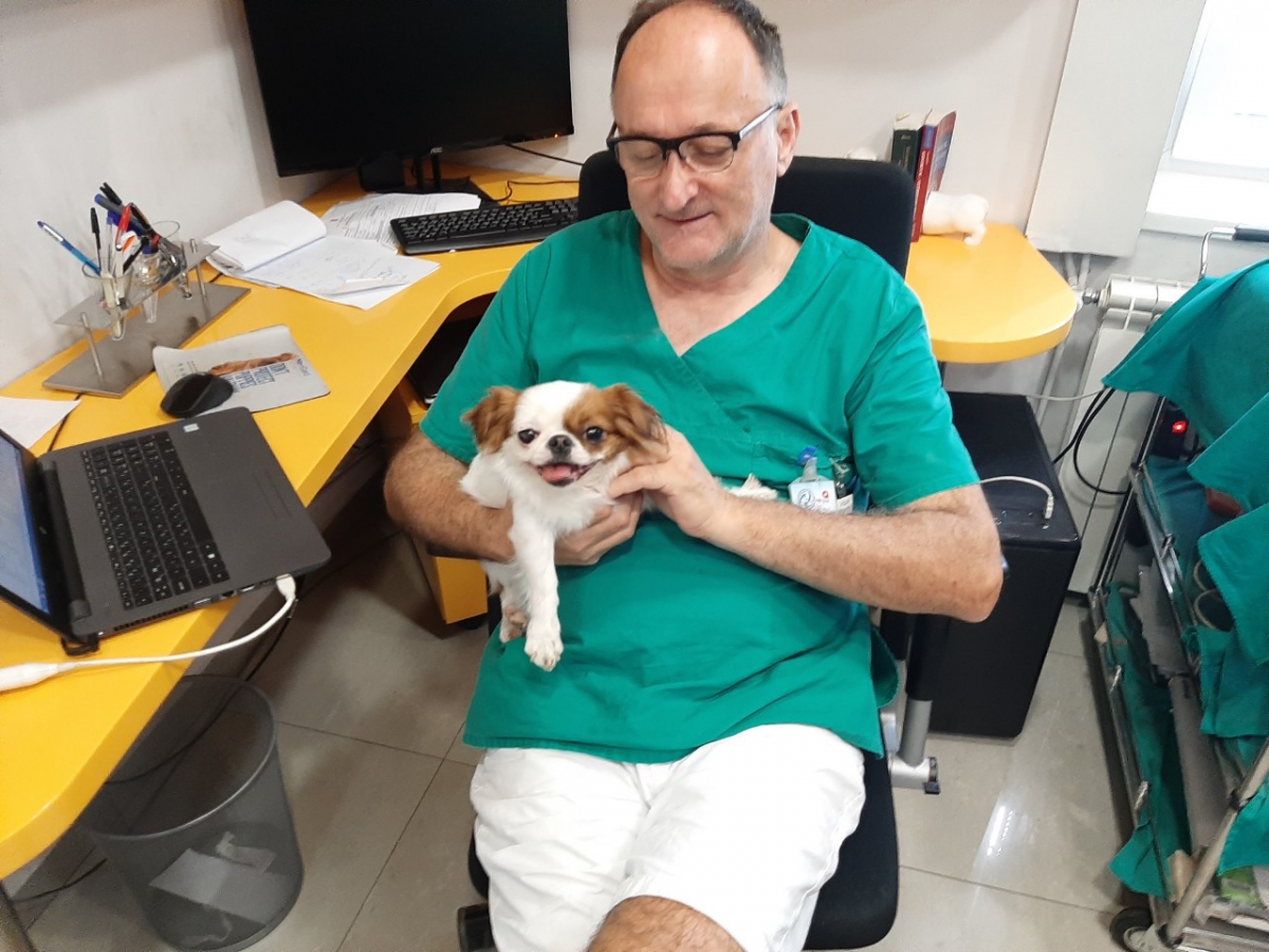 Lola - epi napad - VET24 | DEŽURNI VETERINAR