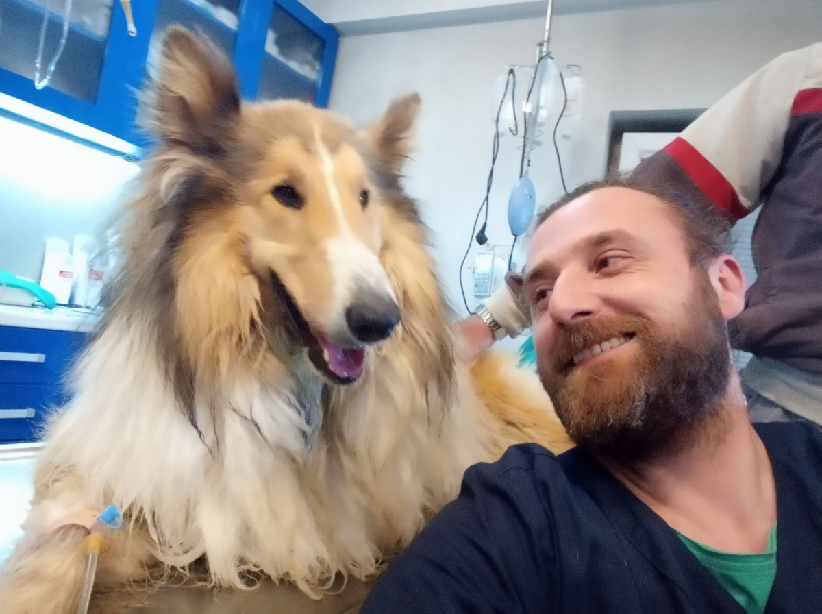 Teo - epi napad - VET24 | DEŽURNI VETERINAR