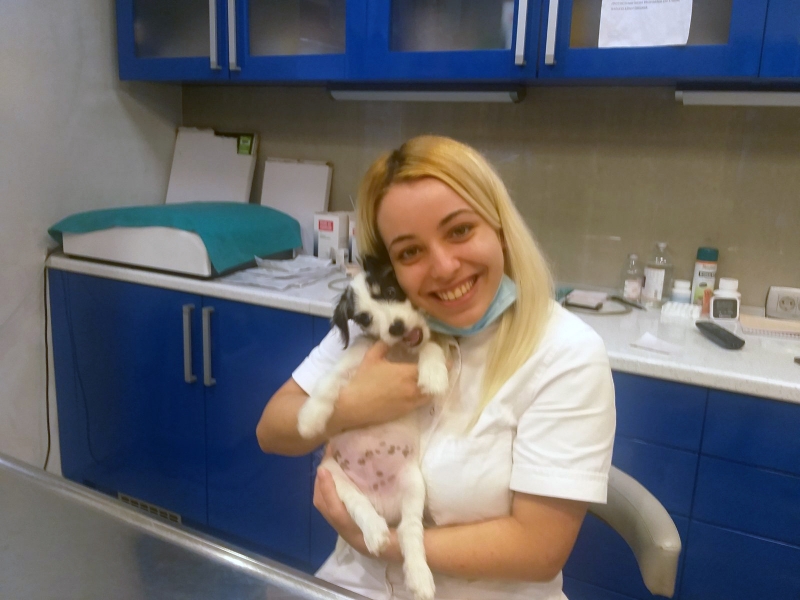 Papi - redovna vakcinacija - VET24 | DEŽURNI VETERINAR